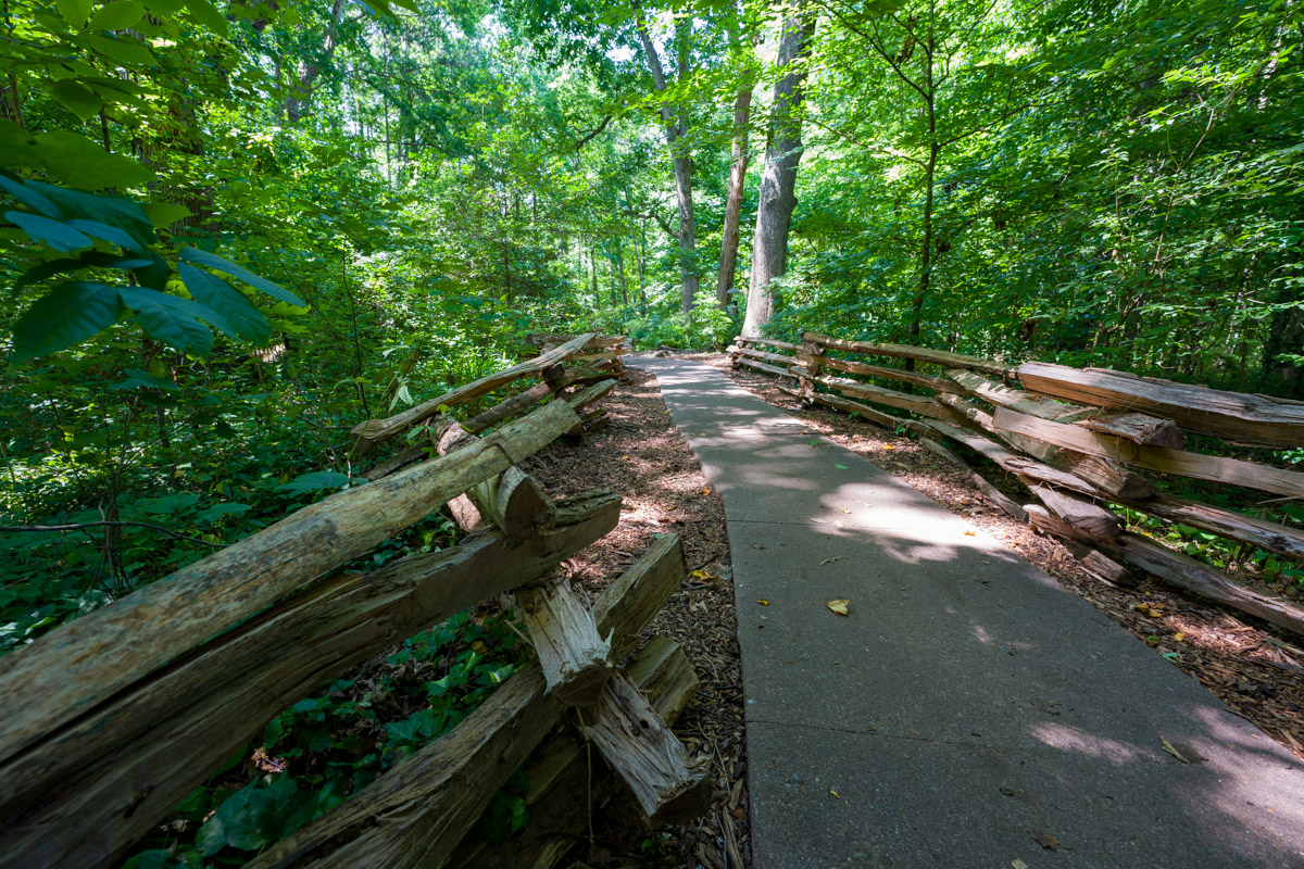 Big Trees Forest Preserve - Sandy Springs Big Trees Forest Preserve - Sandy Springs